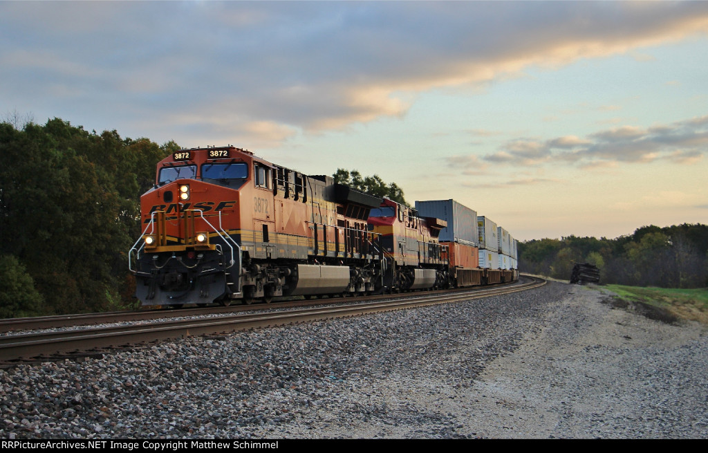 Pumpkin & Belle Morning